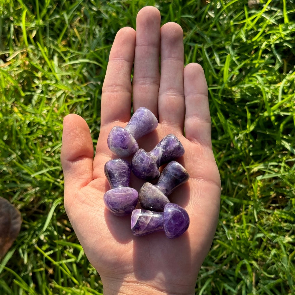Crystal Mushroom - Amethyst Medium | EarthsElements Wholesale